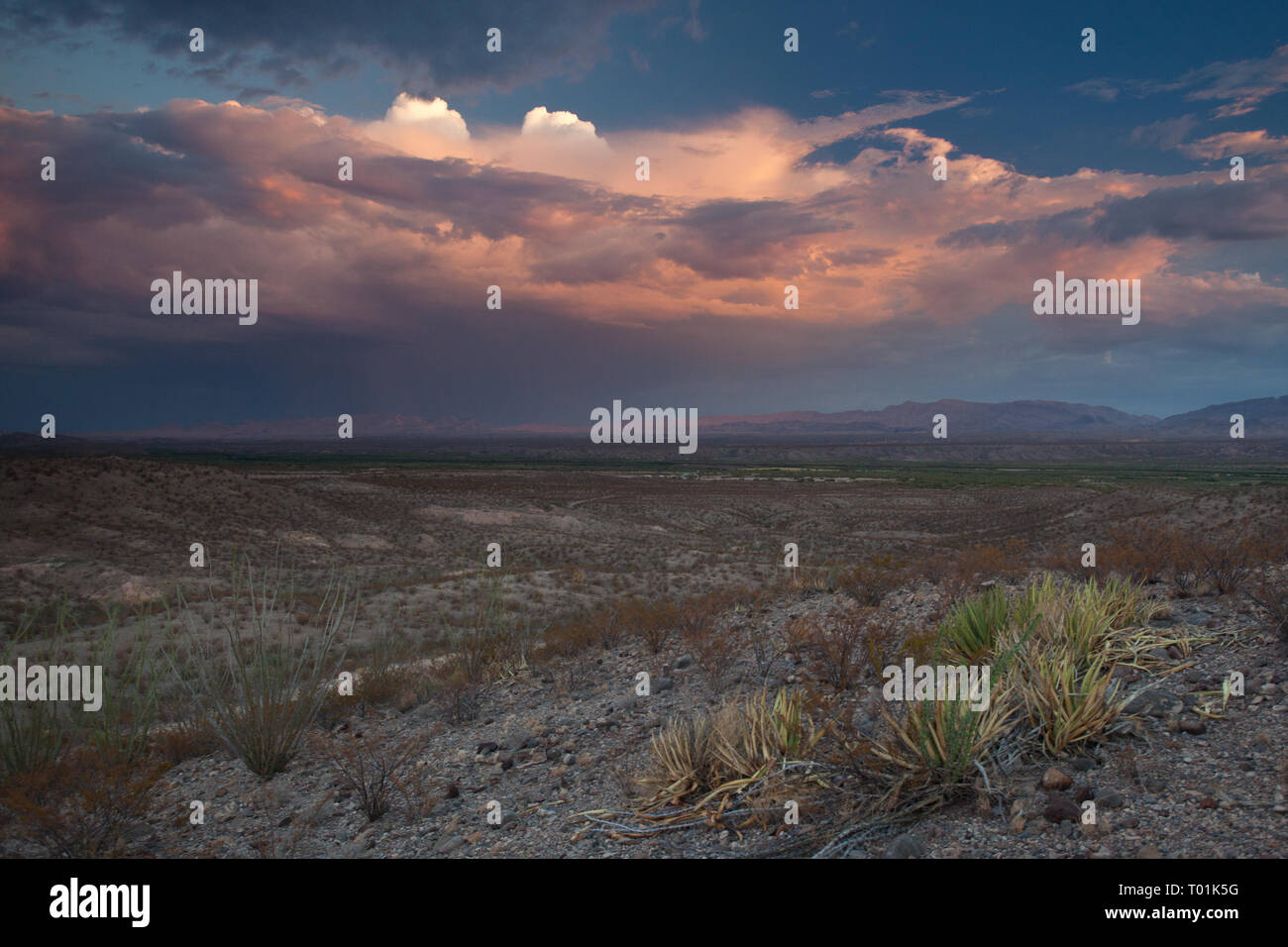 Quitman Mountains High Resolution Stock Photography and Images - Alamy