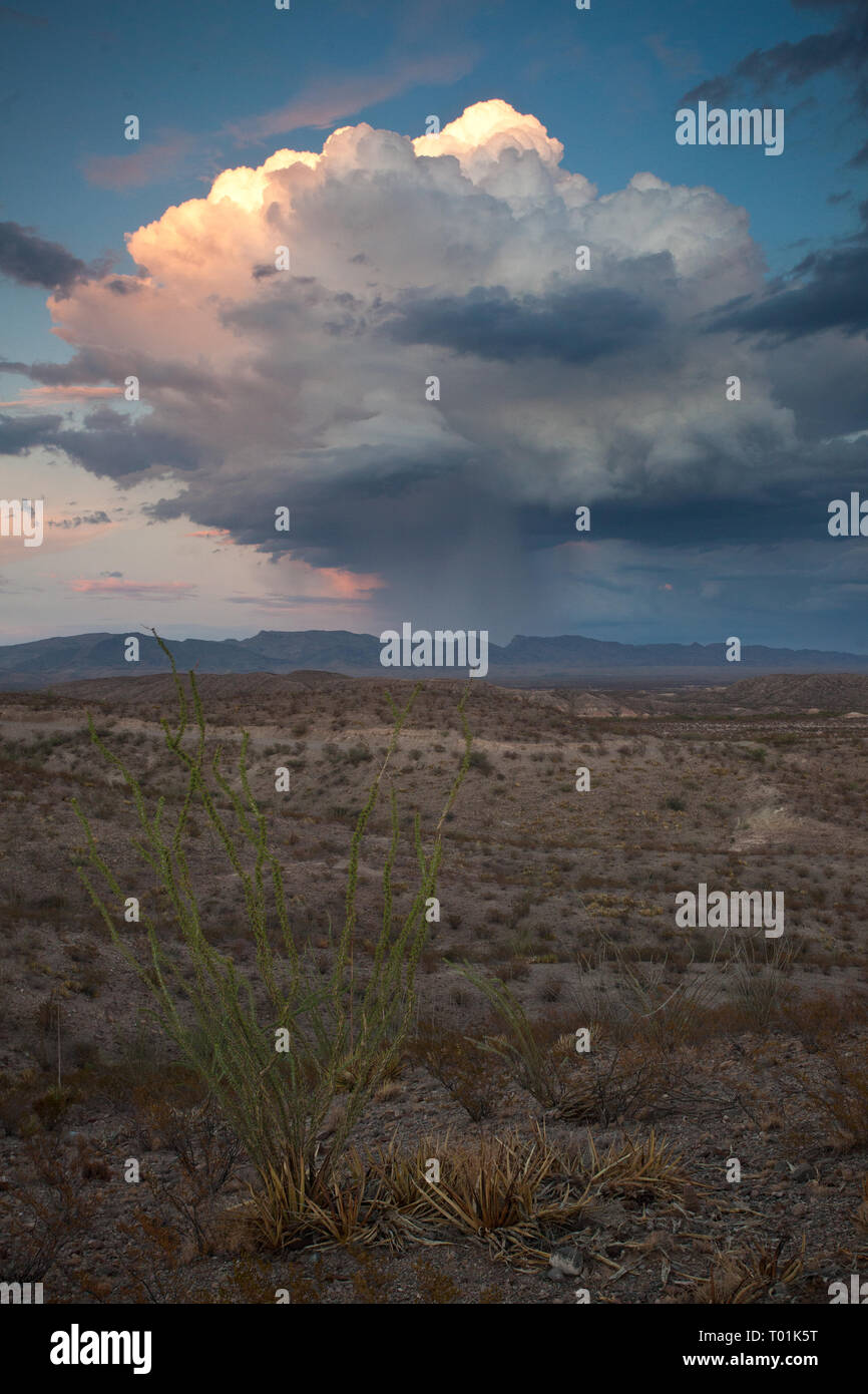 Fort Quitman, Hudspeth County, Texas, USA Stock Photo - Alamy