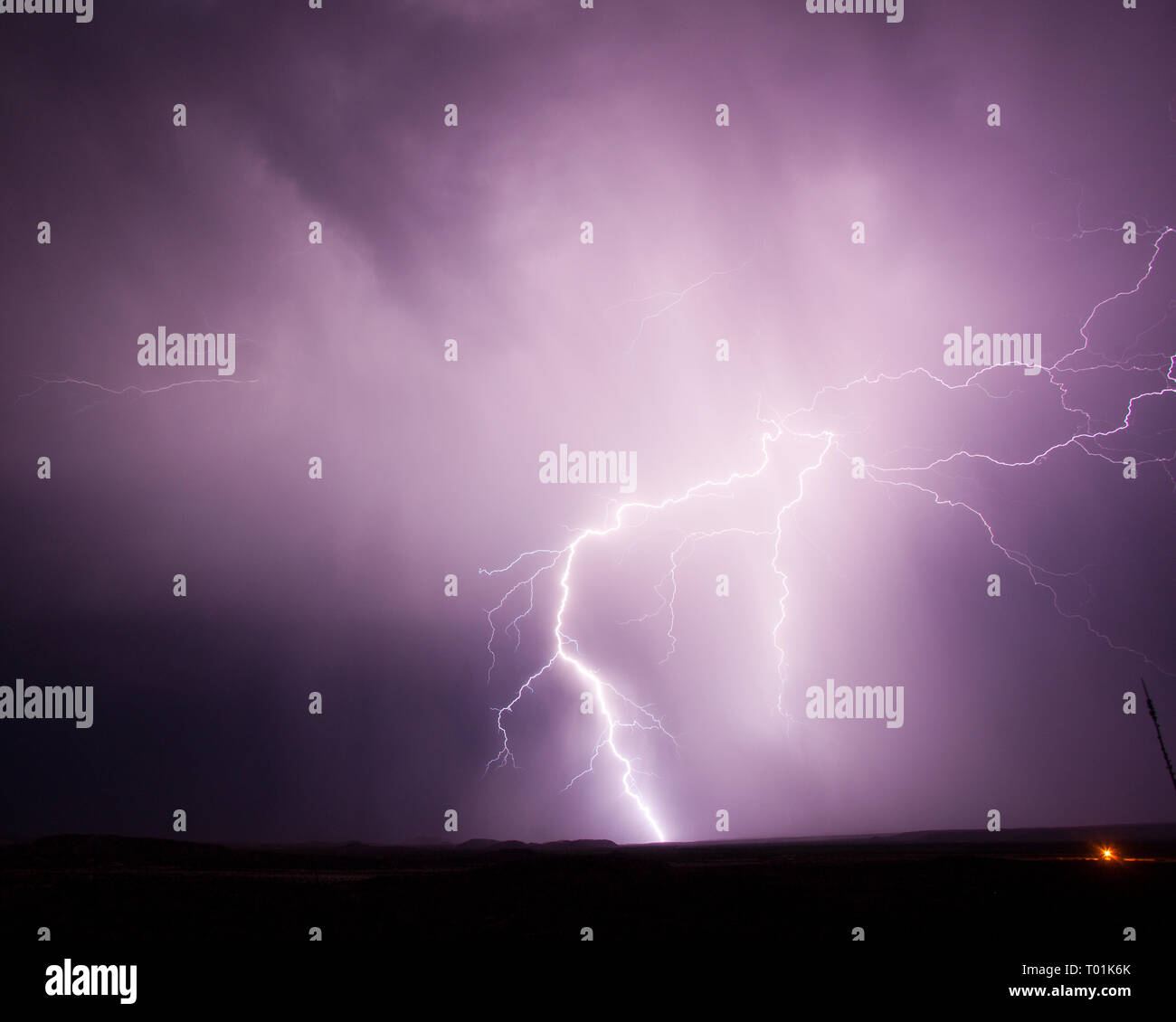 Quitman hi-res stock photography and images - Alamy