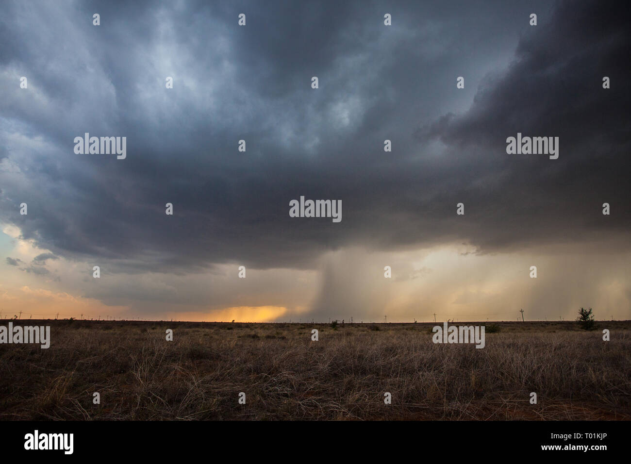, Hockley County, Texas, USA Stock Photo - Alamy
