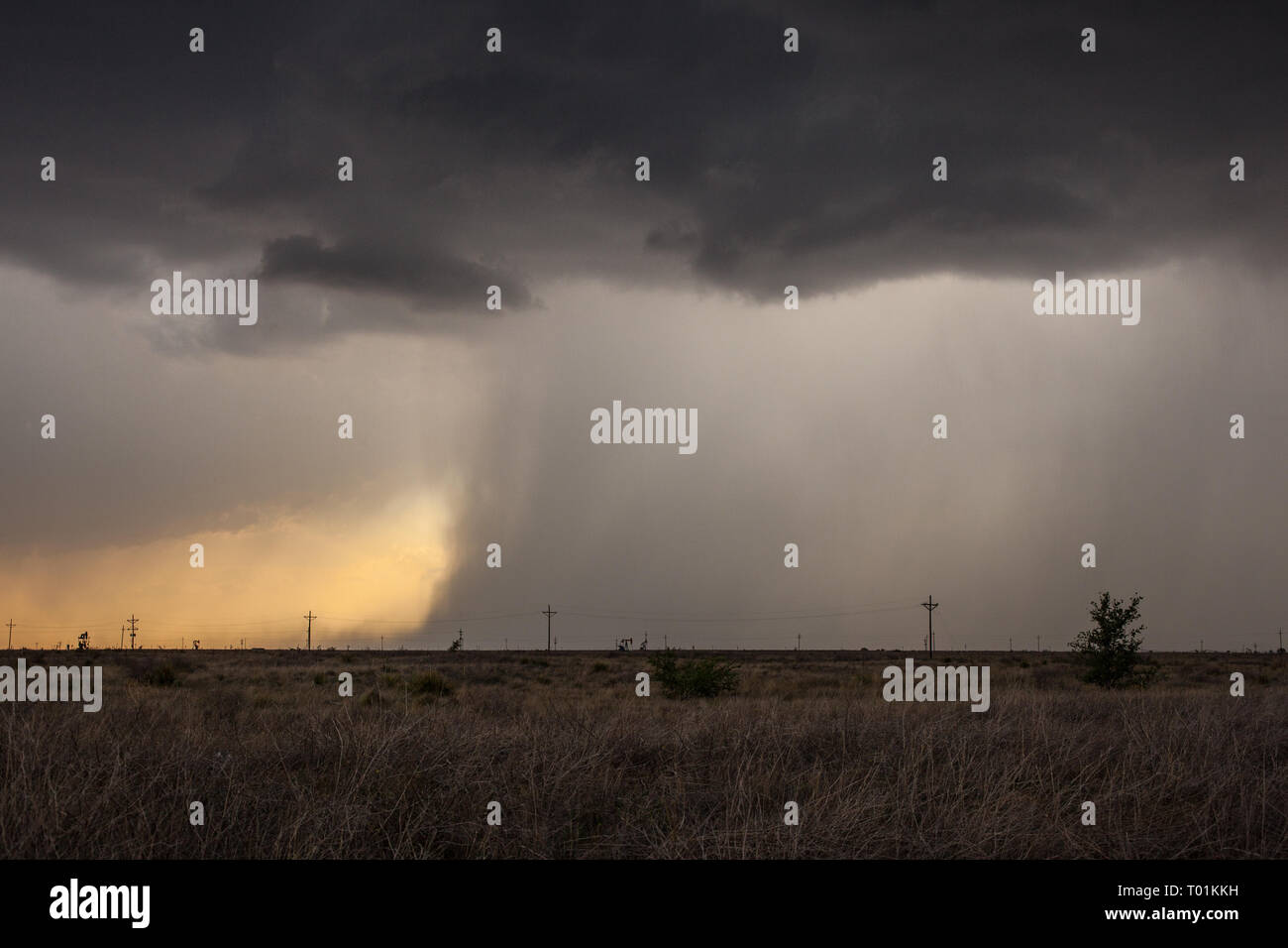 Hockley hi-res stock photography and images - Alamy