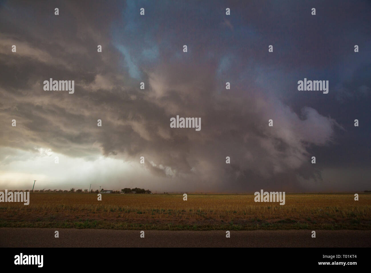 Hockley hi-res stock photography and images - Alamy