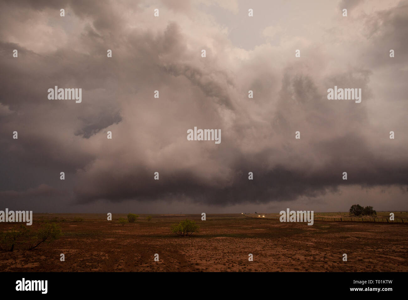 , Hockley County, Texas, USA Stock Photo - Alamy
