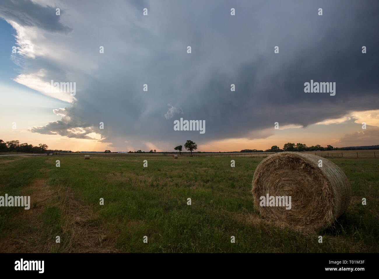 Gillespie field hi-res stock photography and images - Alamy