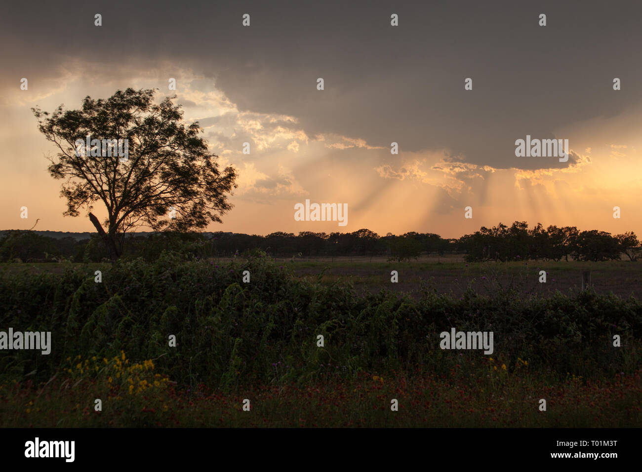 Gillespie county hi-res stock photography and images - Alamy