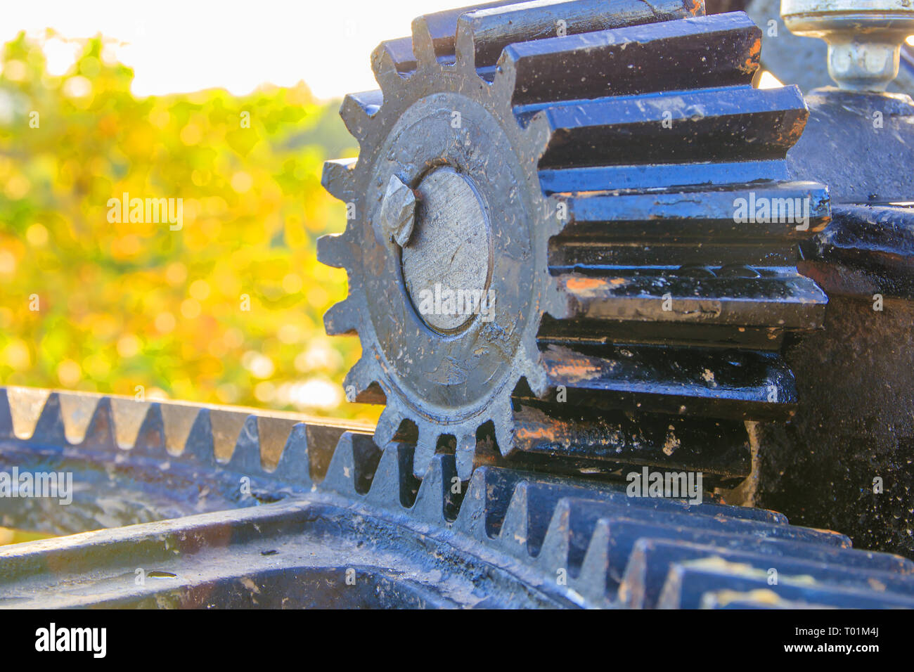 gear wheels water valve select focus with shallow depth of field Stock ...