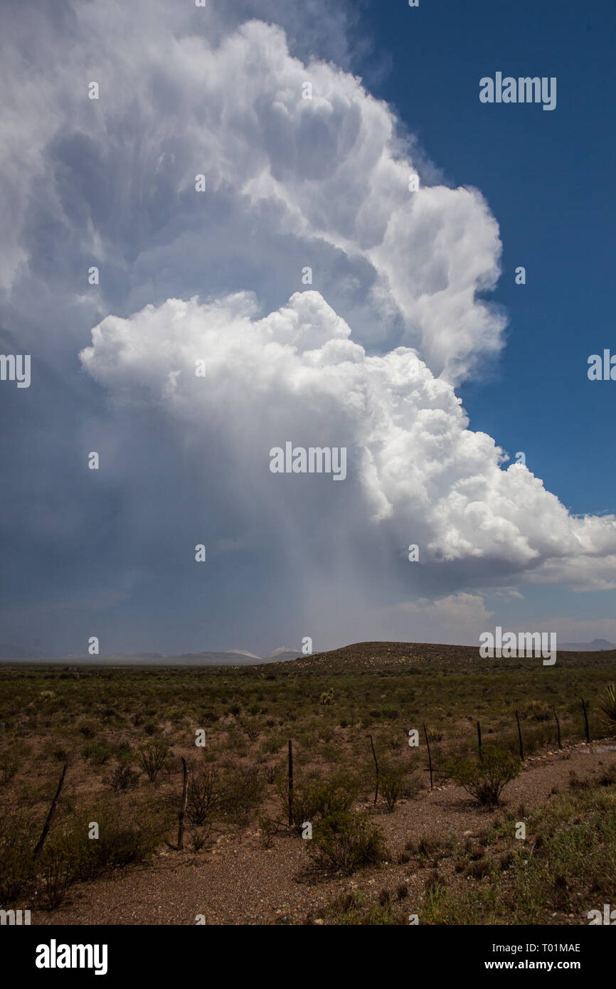 Brewster county texas hi-res stock photography and images - Alamy
