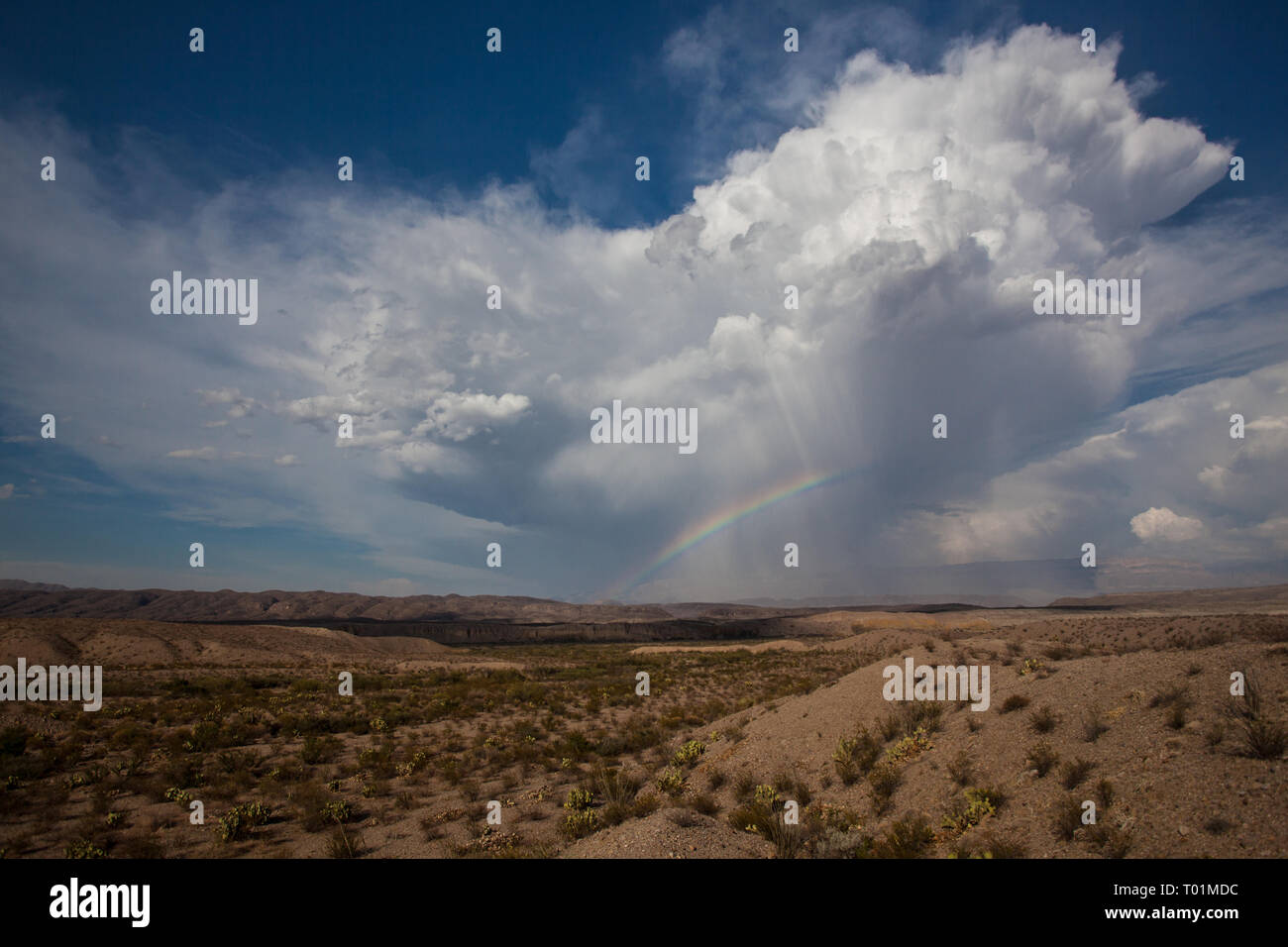 , Brewster County, Texas, USA Stock Photo - Alamy