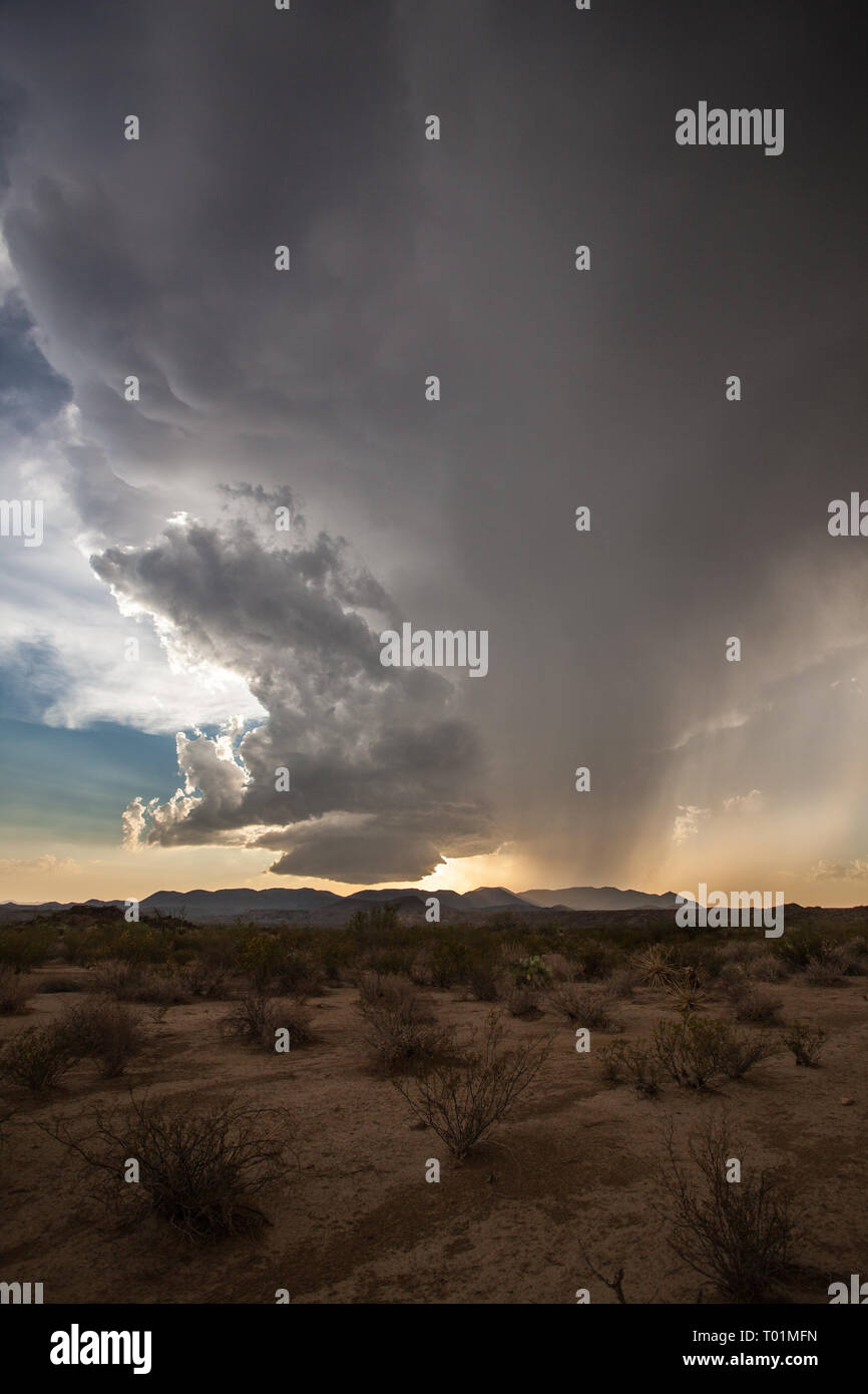 Big Bend National Park, Brewster County, Texas, USA Stock Photo - Alamy