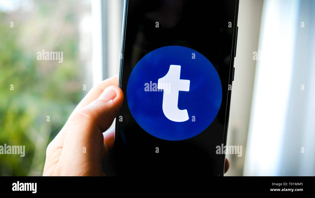 Tumblr app on smartphone hand Stock Photo - Alamy