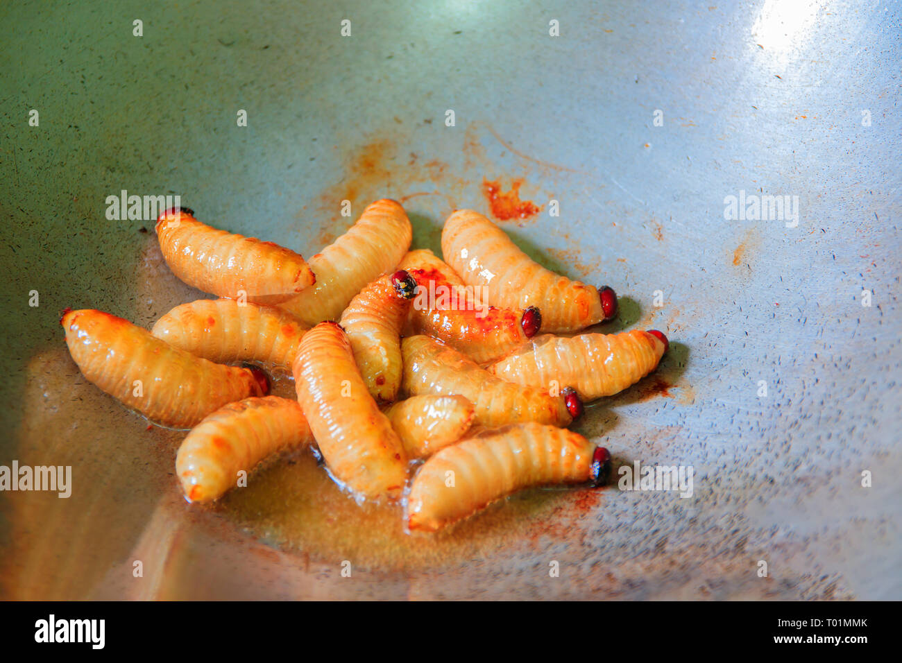 worm palm weevil red or Sago beetle fried in pan (Rhynchophorus ...