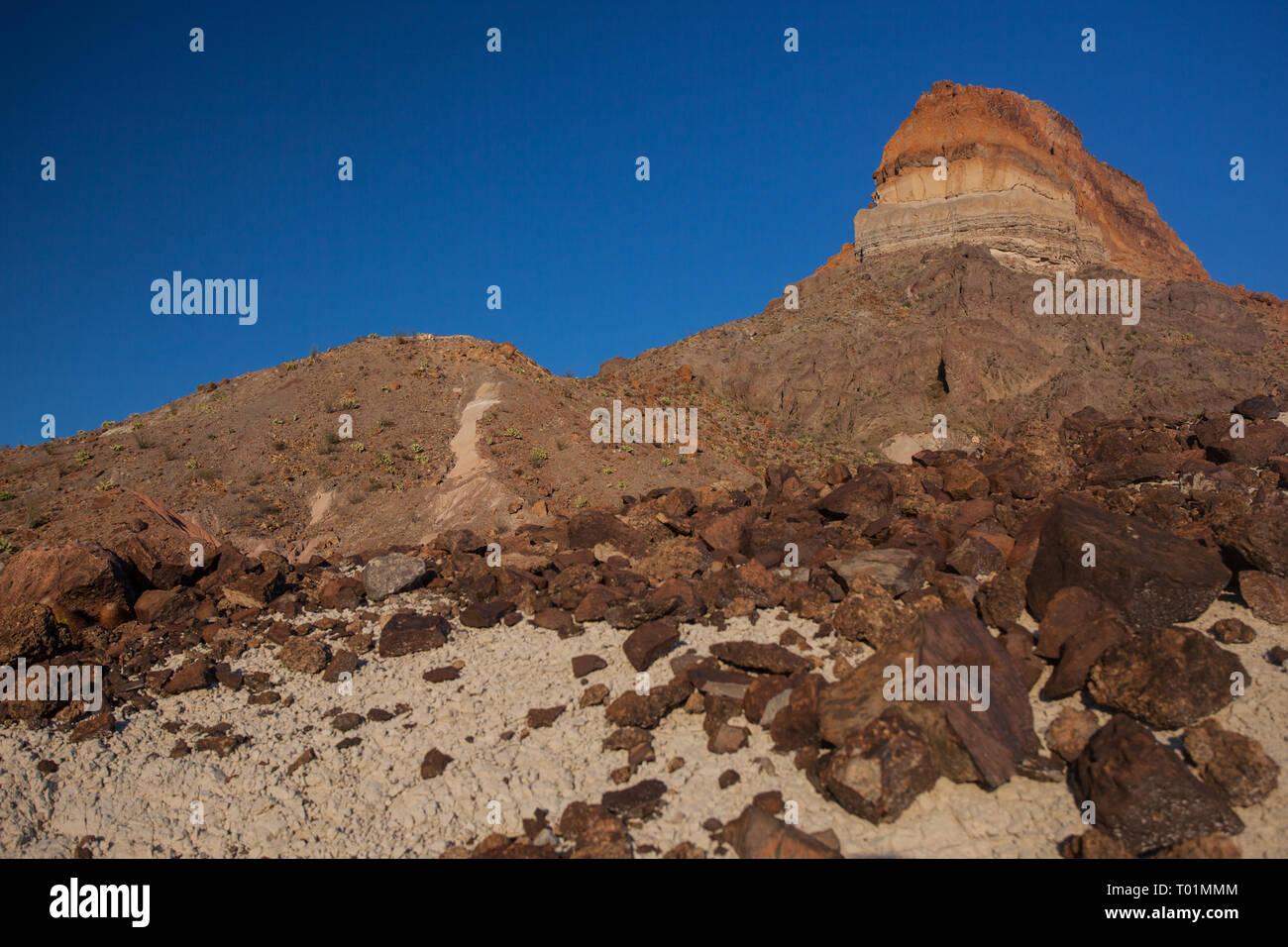 Big Bend National Park, Brewster County, Texas, USA Stock Photo - Alamy