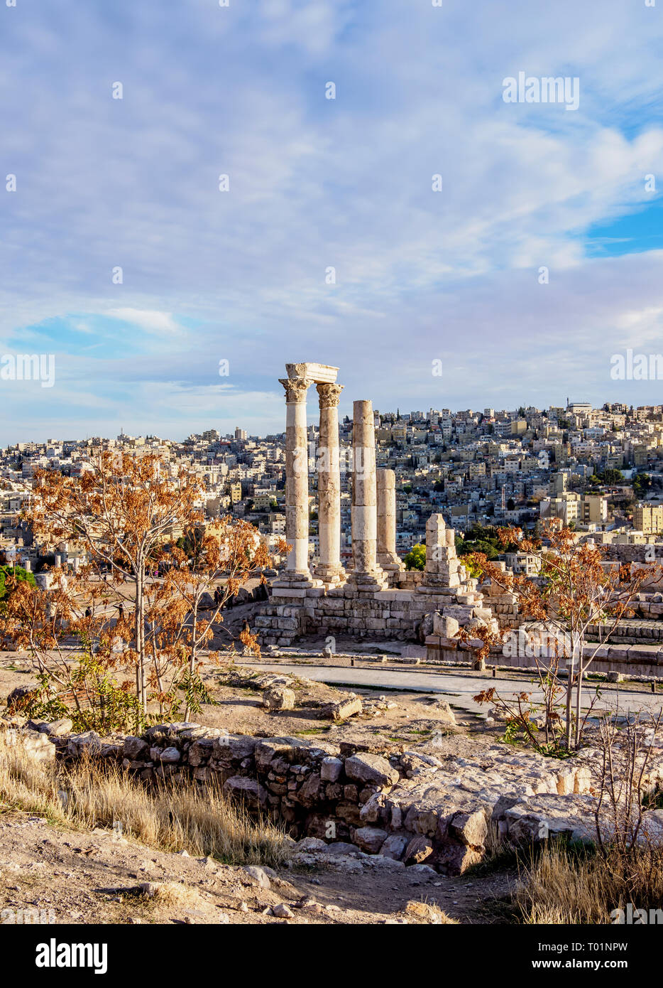 Temple of Hercules Ruins, Amman Citadel, Amman Governorate, Jordan ...