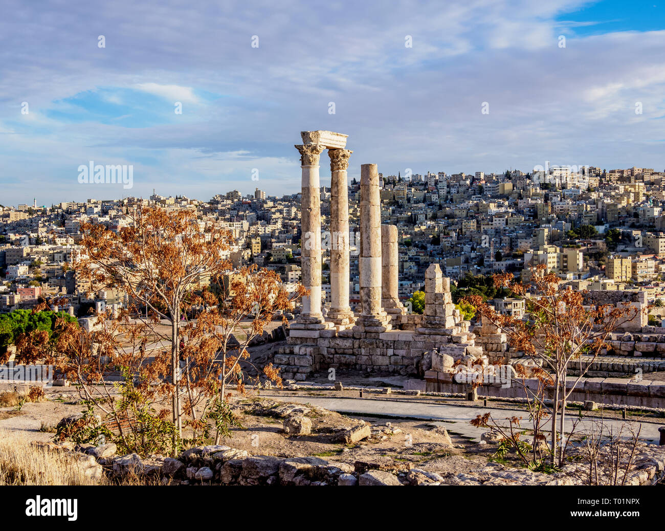 Temple of Hercules Ruins, Amman Citadel, Amman Governorate, Jordan ...