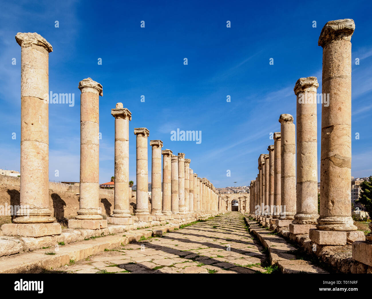 Cardo jerash hi-res stock photography and images - Alamy