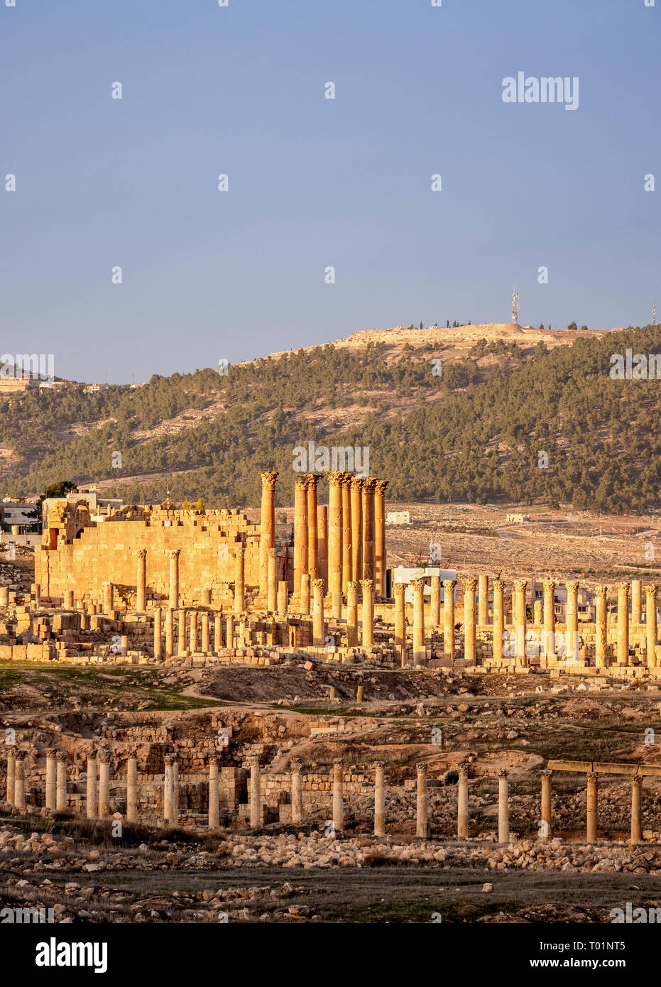 View towards the Temple of Artemis, sunset, Jerash, Jerash Governorate ...