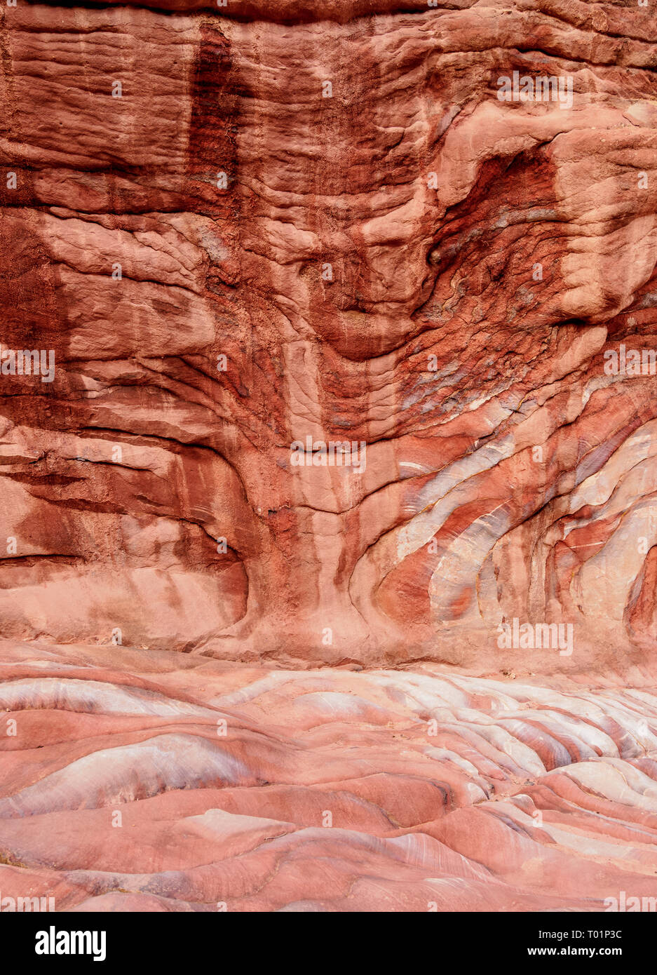 Red Sandstone, detailed view, Petra, Ma'an Governorate, Jordan Stock ...