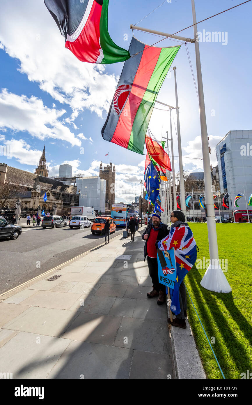 Brexit for and against protesters in Parliament Square. Shoot yourself ...