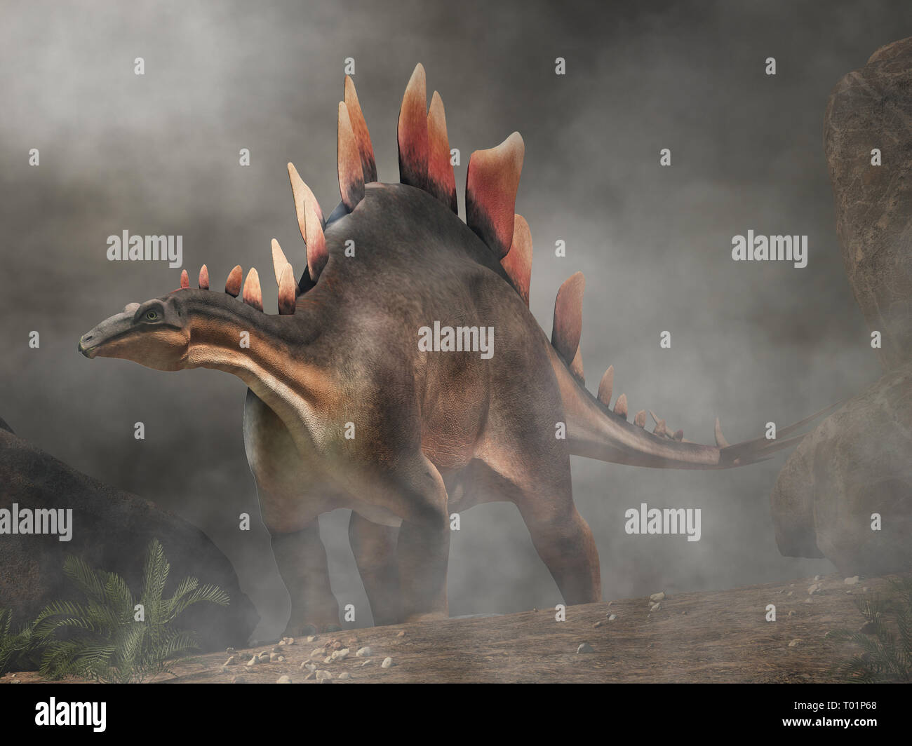 Stegosaurus in fog. was a thyreophoran dinosaur. An herbivore, it is ...