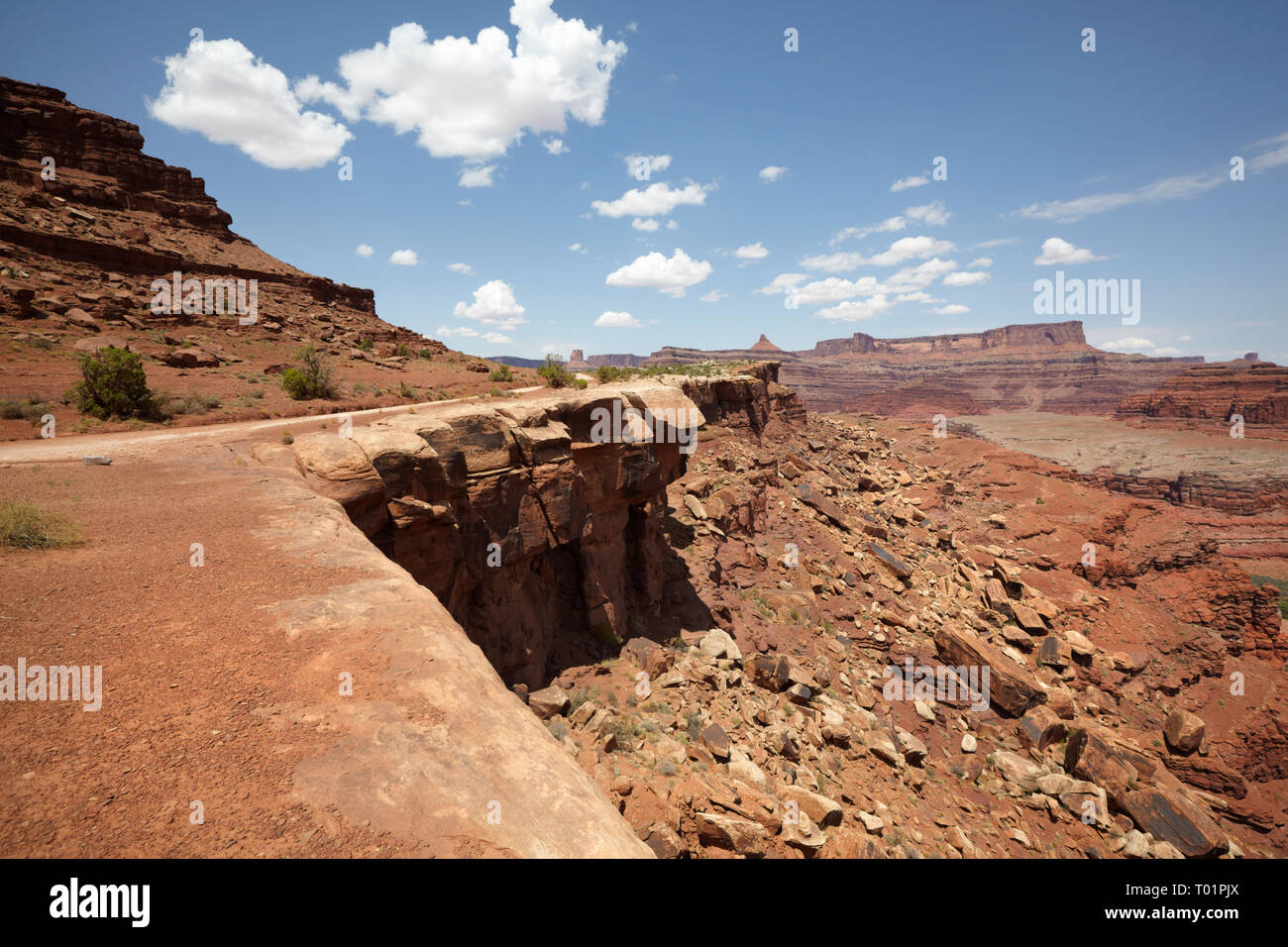 White Rim Trail,Canyonlands, Utah, USA Stock Photo - Alamy
