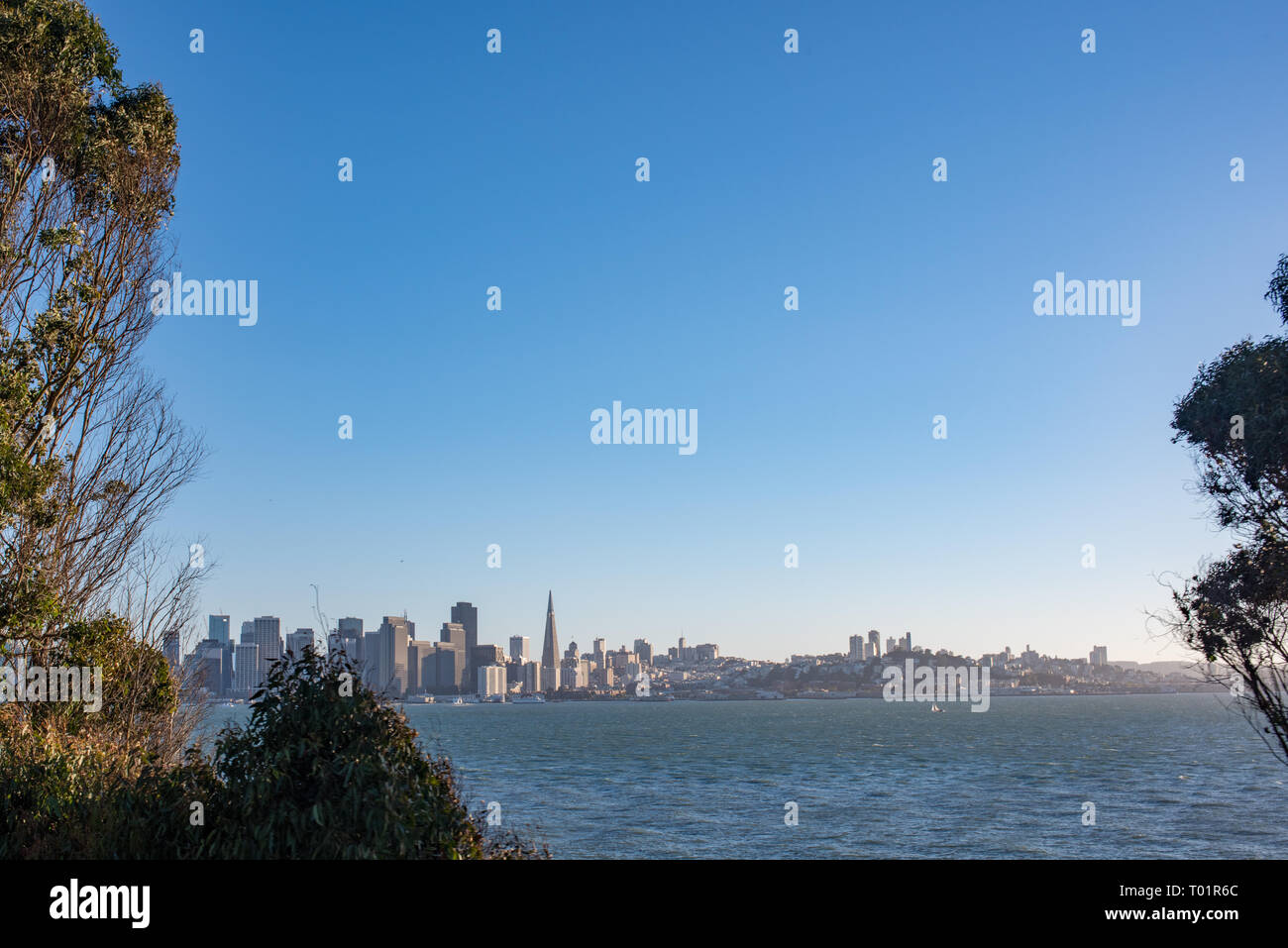 The Bay Bridge can be viewed from the shores of Treasure Island and ...