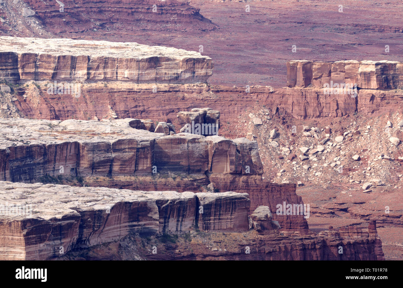 White Rim Trail,Canyonlands, Utah, USA Stock Photo - Alamy