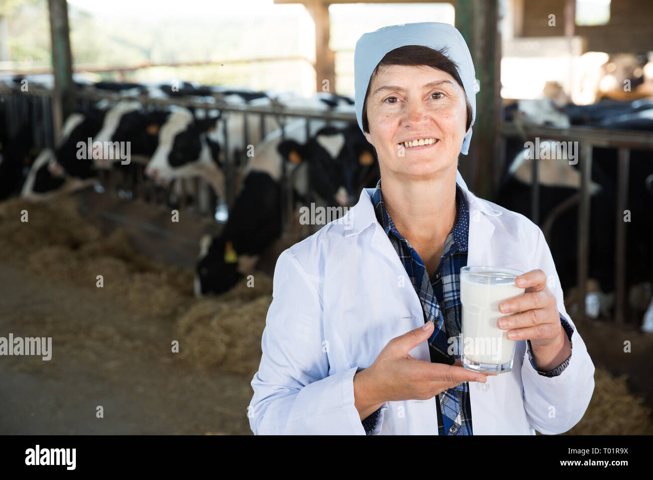 Expert in the dairy field hi-res stock photography and images - Alamy