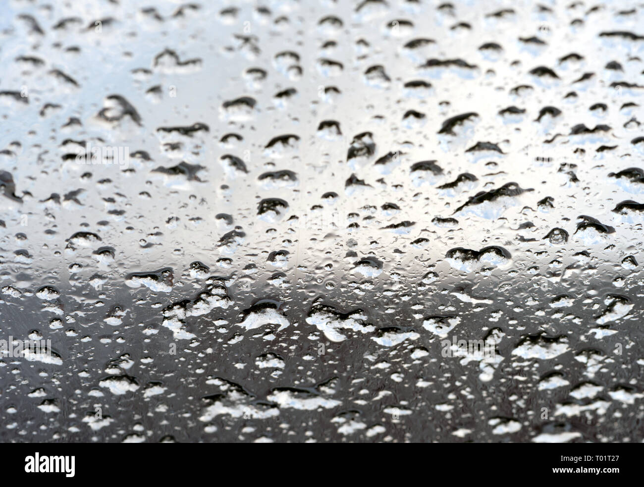 Fresh water rain drops and droplets on a clear glass window after a ...