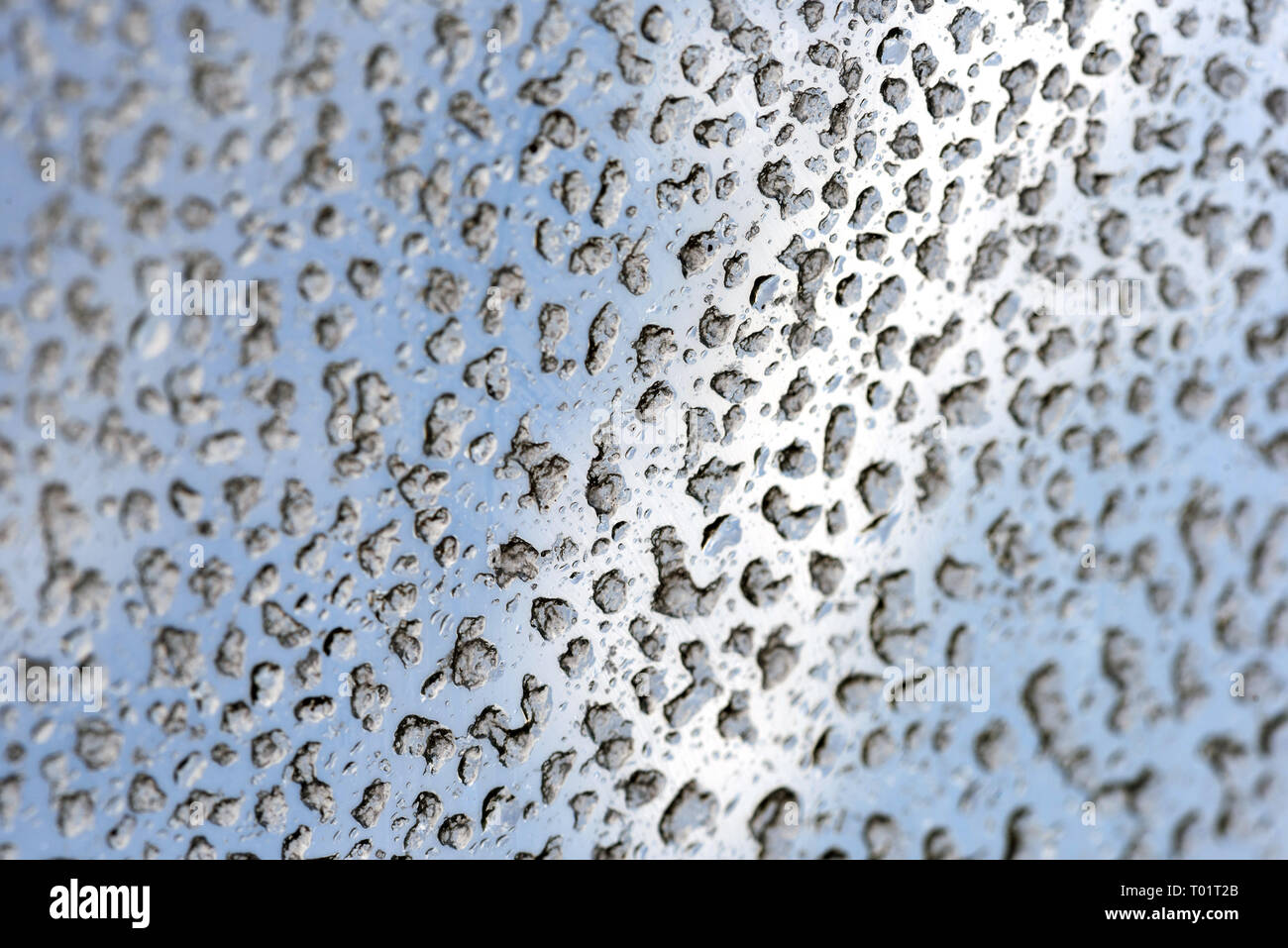 Fresh water rain drops and droplets on a clear glass window after a ...