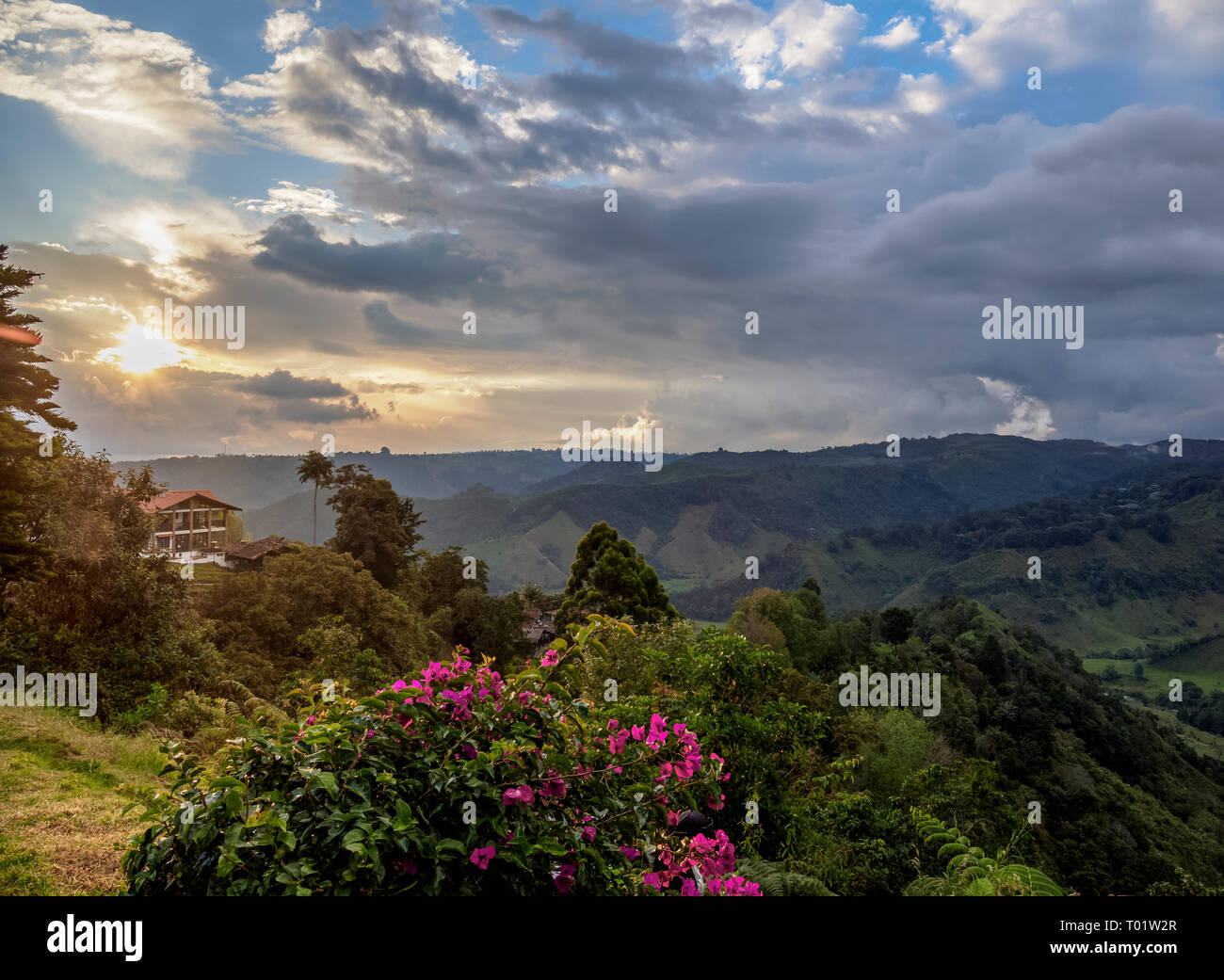 Landscape of Quindio River Valley at sunset, Salento, Quindio ...