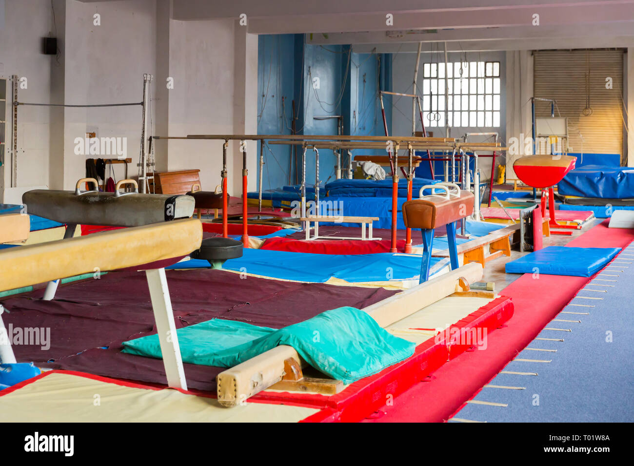 Slim Gym Gymnastics Equipment at Cody Wray blog