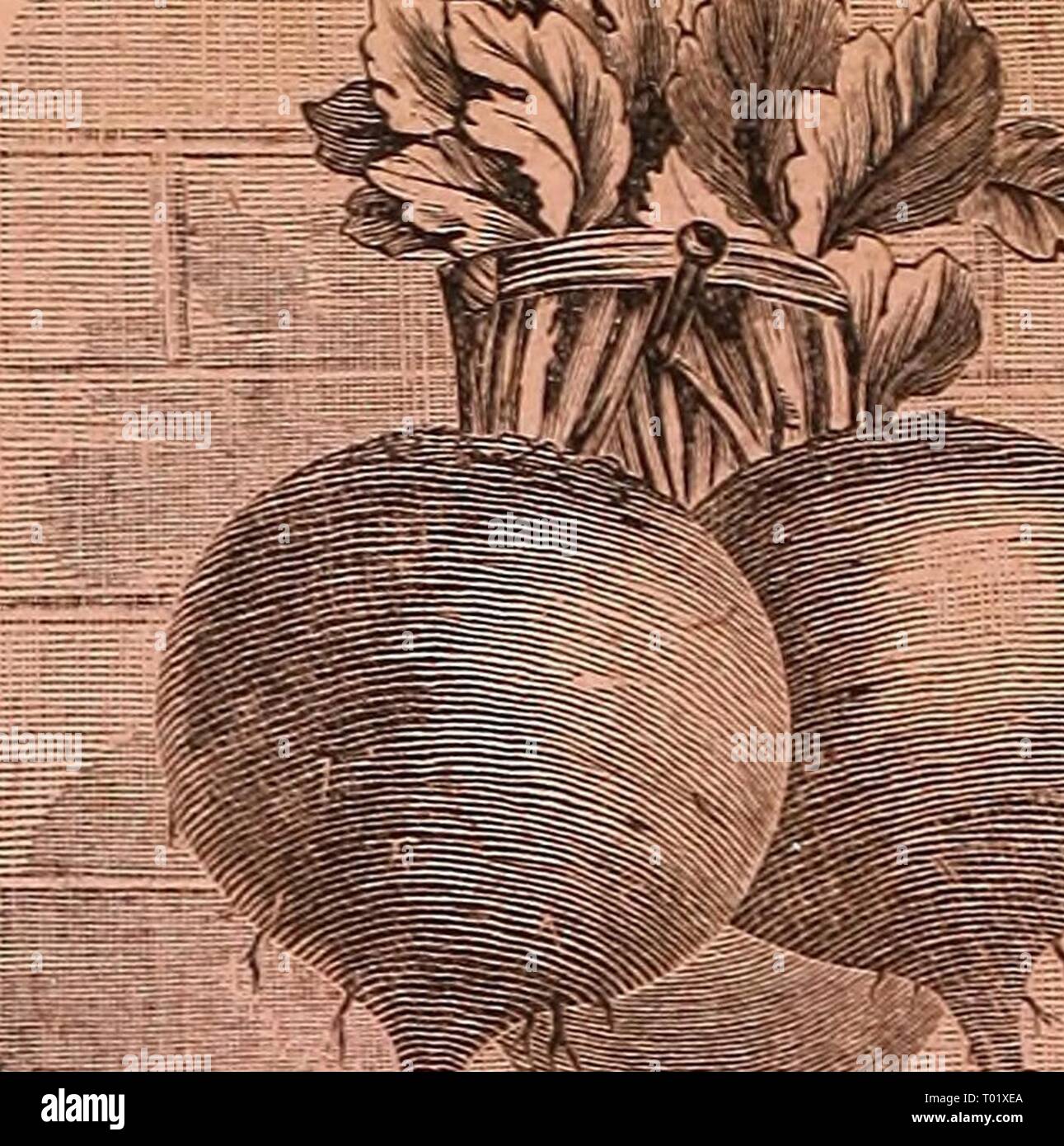 Calendar 1886 hi-res stock photography and images - Alamy