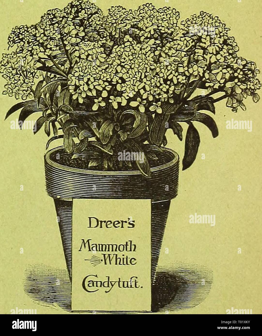 Dreer's garden calendar for 1892 Stock Photo - Alamy