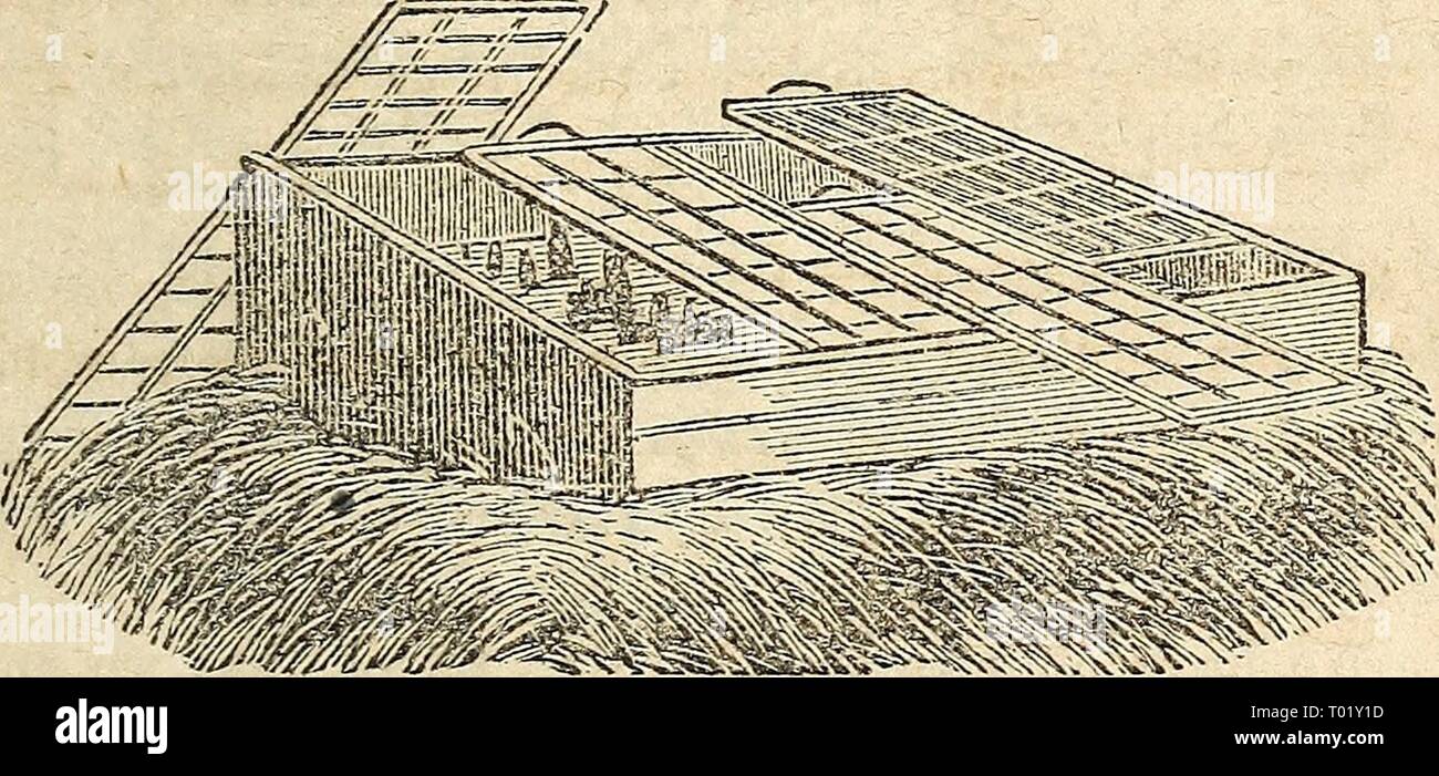 Dreer's garden calendar for 1863 Stock Photo - Alamy
