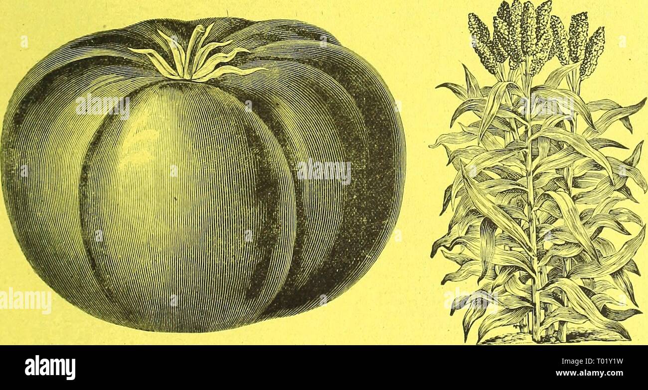 1888 calendar hi-res stock photography and images - Alamy