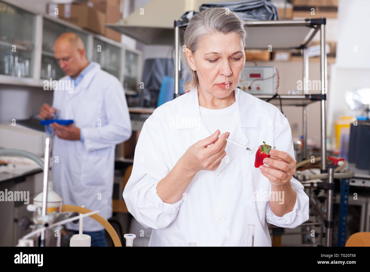 Experienced woman biochemist performing GMO experiments in modern ...
