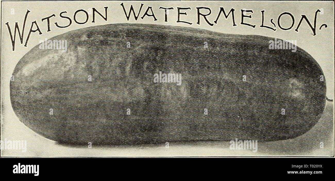 Tom price georgia hi-res stock photography and images - Alamy