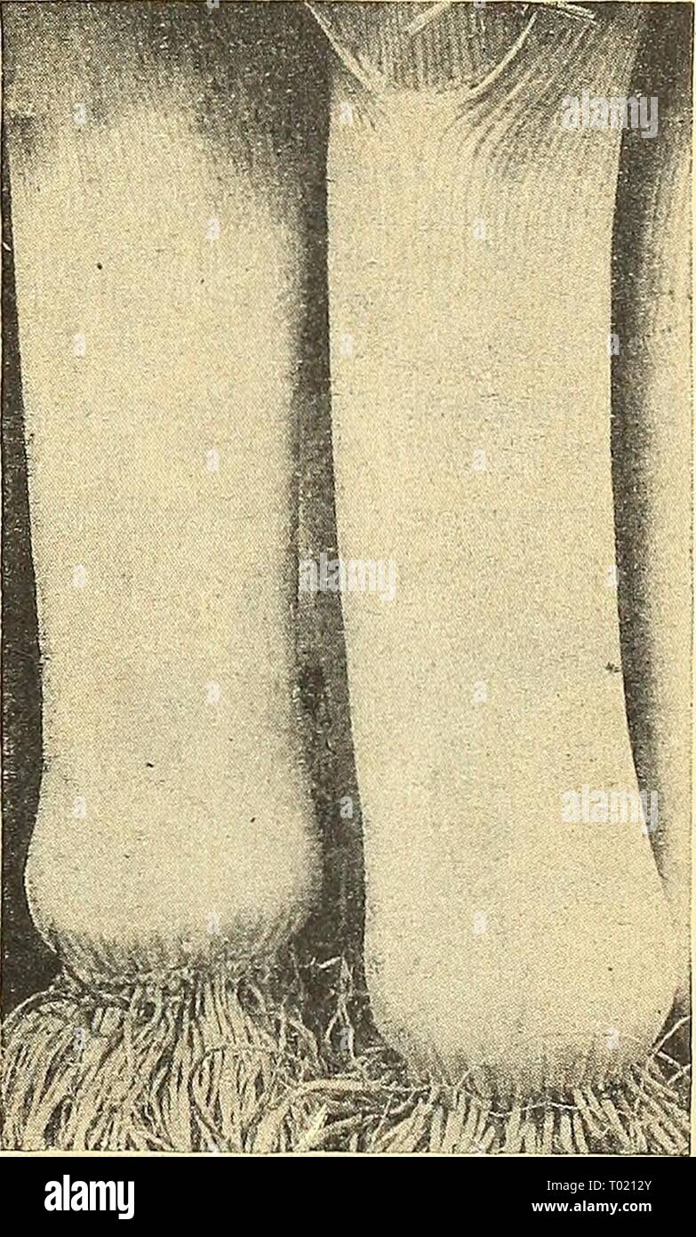 Rappa hi-res stock photography and images - Alamy