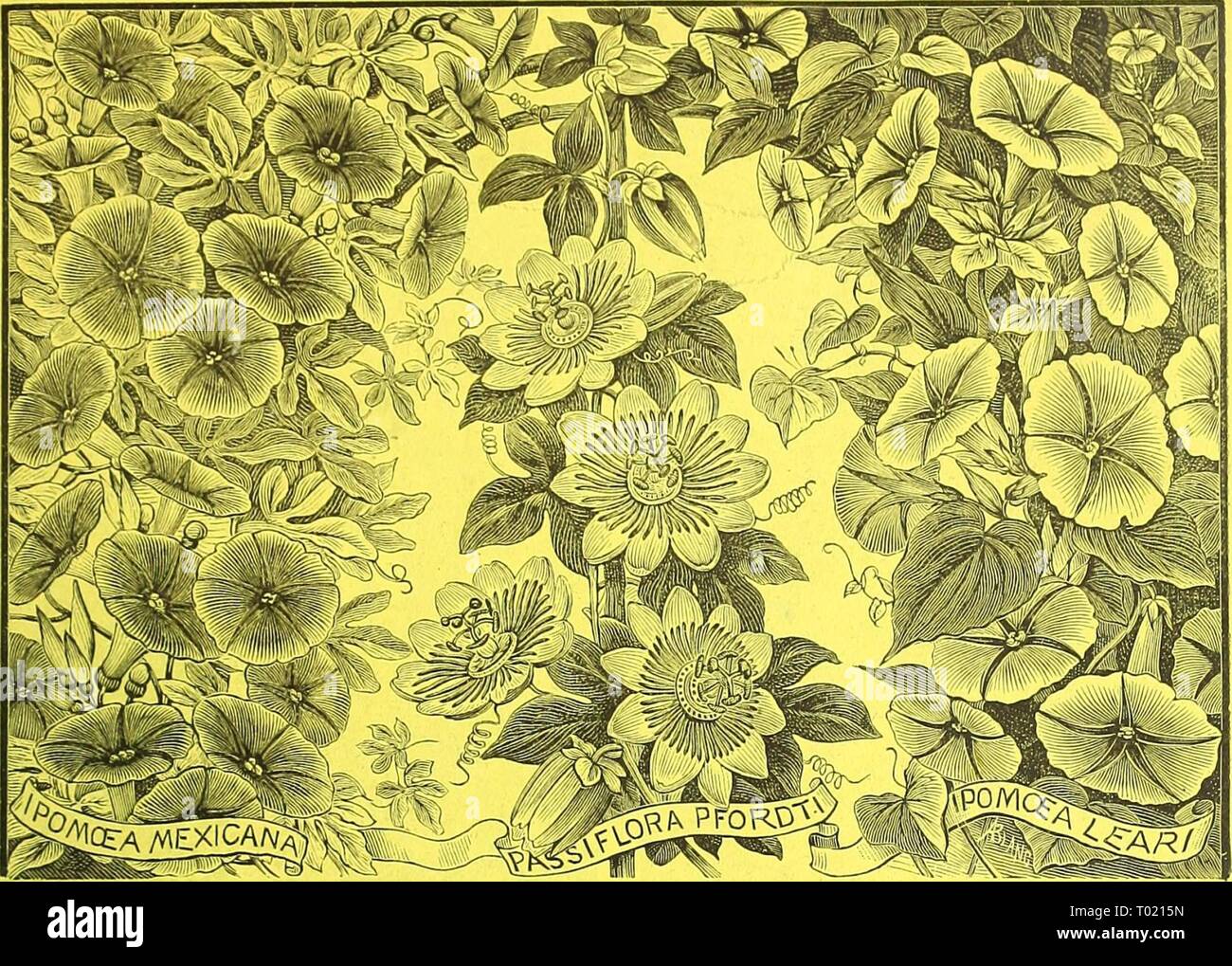 Dreer's garden calendar for 1888 Stock Photo - Alamy