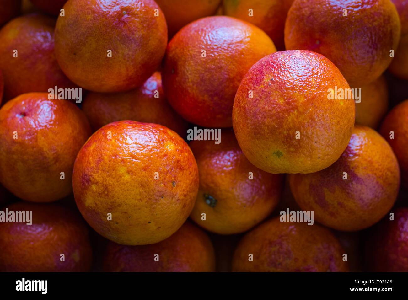 Several fresh red oranges were just picked from the tree and put in a ...