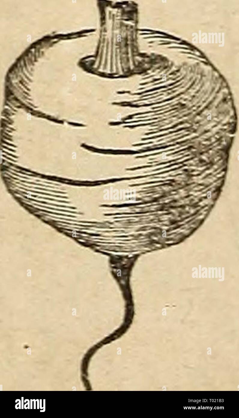 Dreer's garden calendar 1868 . dreersgardencale1868henr Year: 1868 Long ...