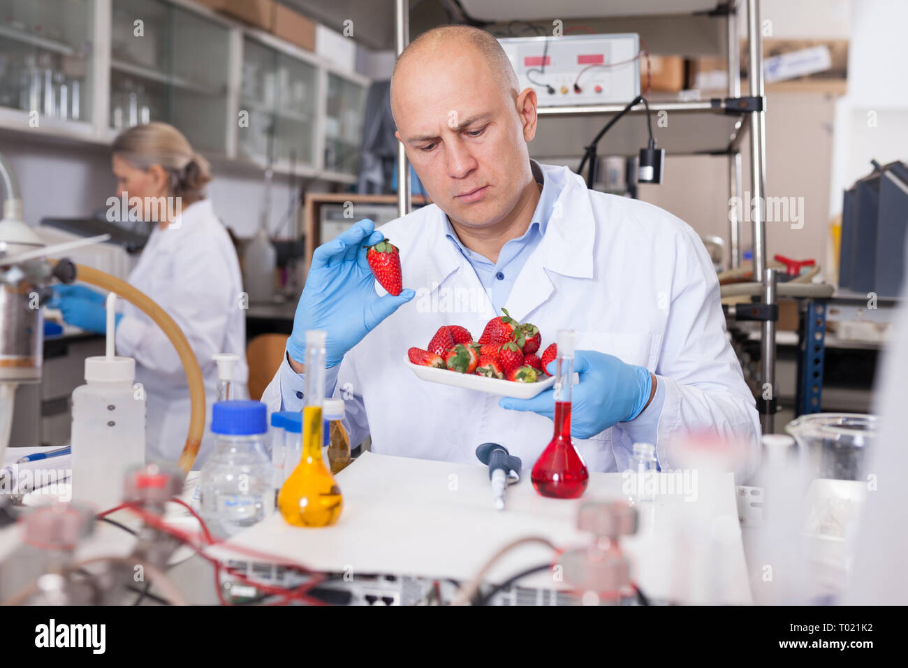 Professional geneticist working in laboratory, conducting experiments ...