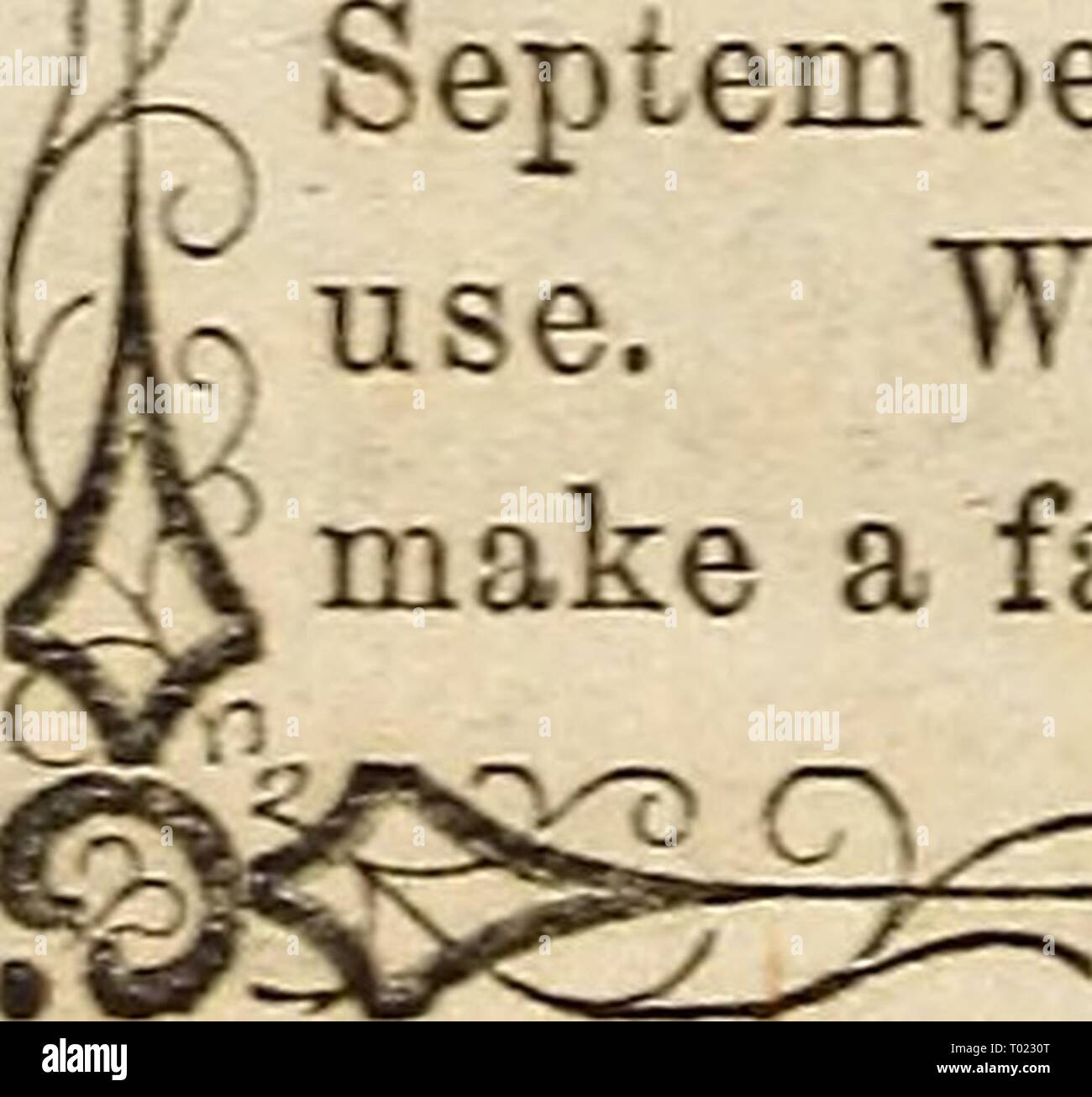 Picture calendar 1864 hi-res stock photography and images - Alamy
