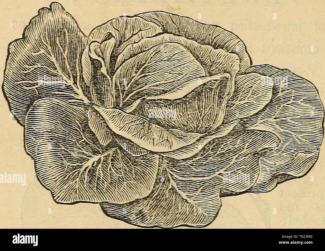 Calendar for year 1878 hi-res stock photography and images - Alamy