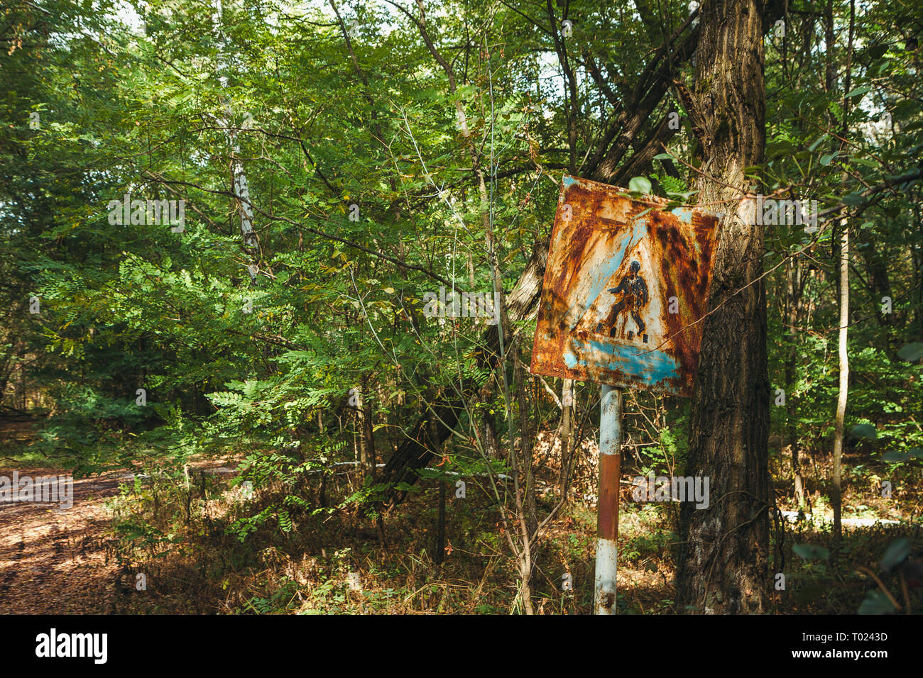 Road chernobyl road sign hi-res stock photography and images - Alamy
