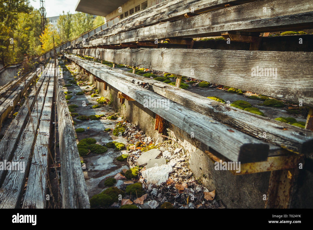 Old football stadium in Chornobyl exclusion zone. Radioactive zone in ...