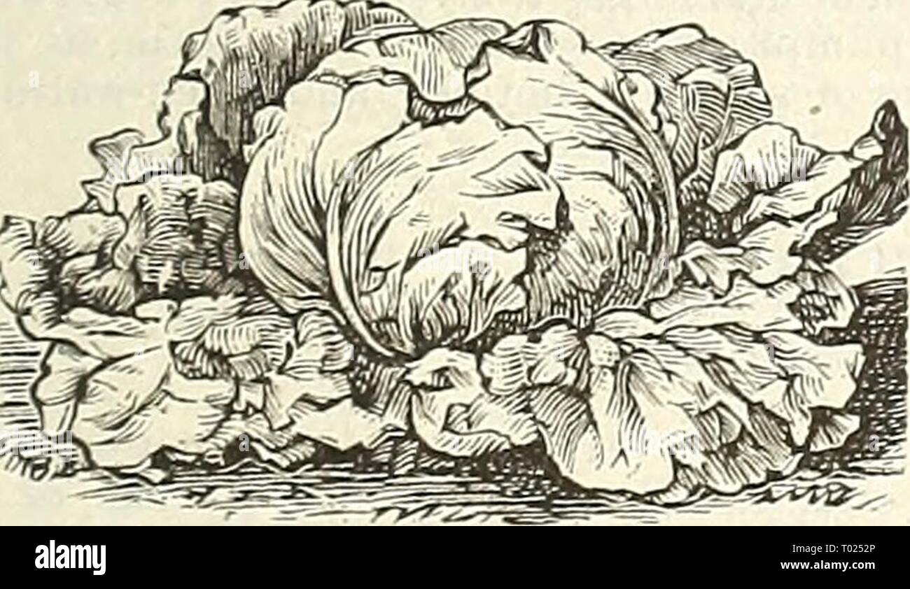 6 may 1889 hi-res stock photography and images - Alamy