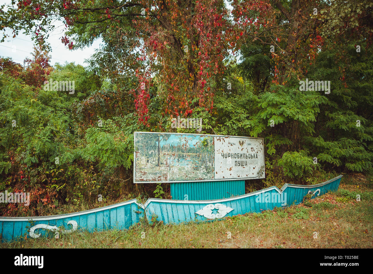 Chernobyl forest hi-res stock photography and images - Alamy