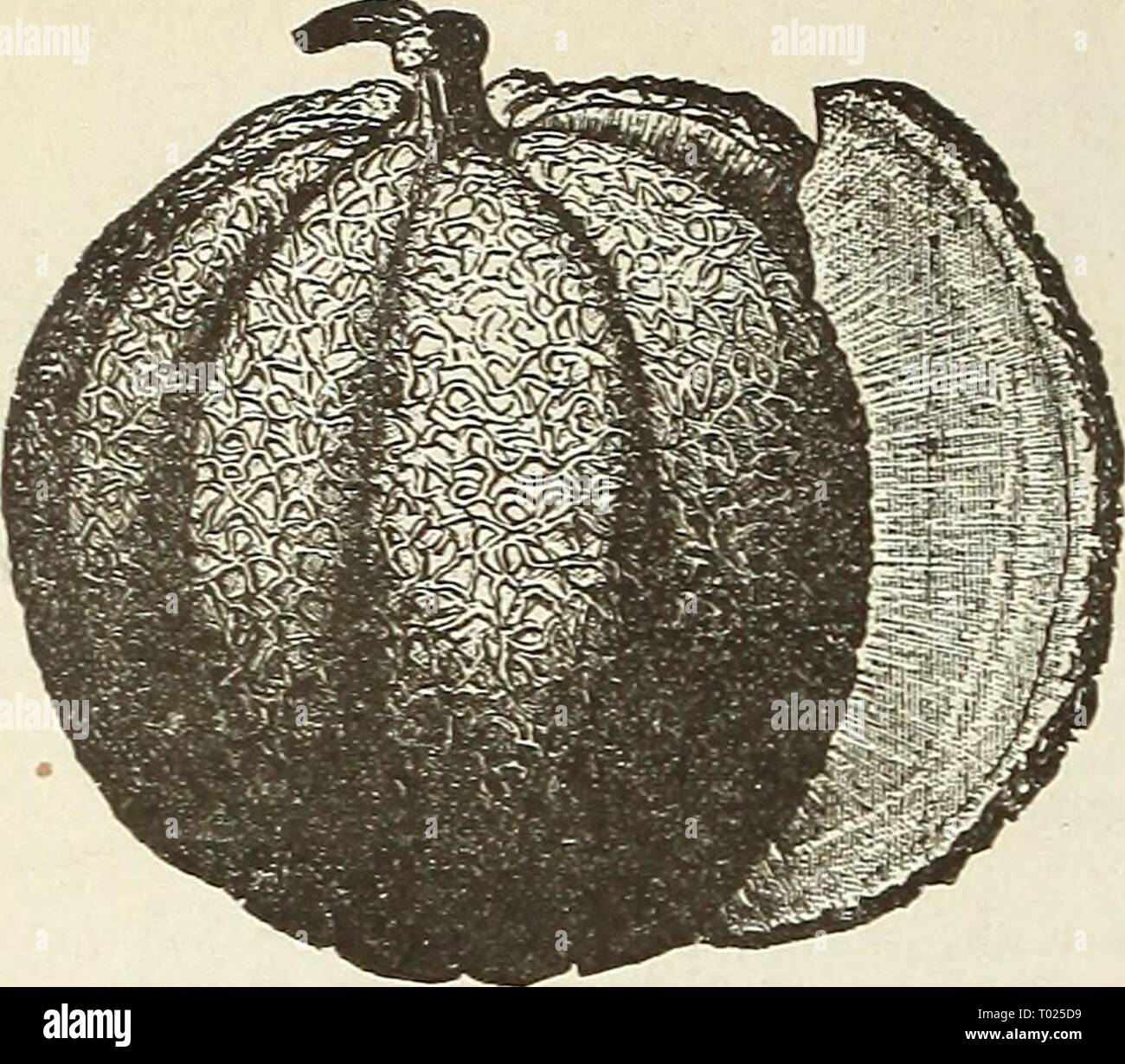 Dreer's garden calendar (1890 Stock Photo - Alamy