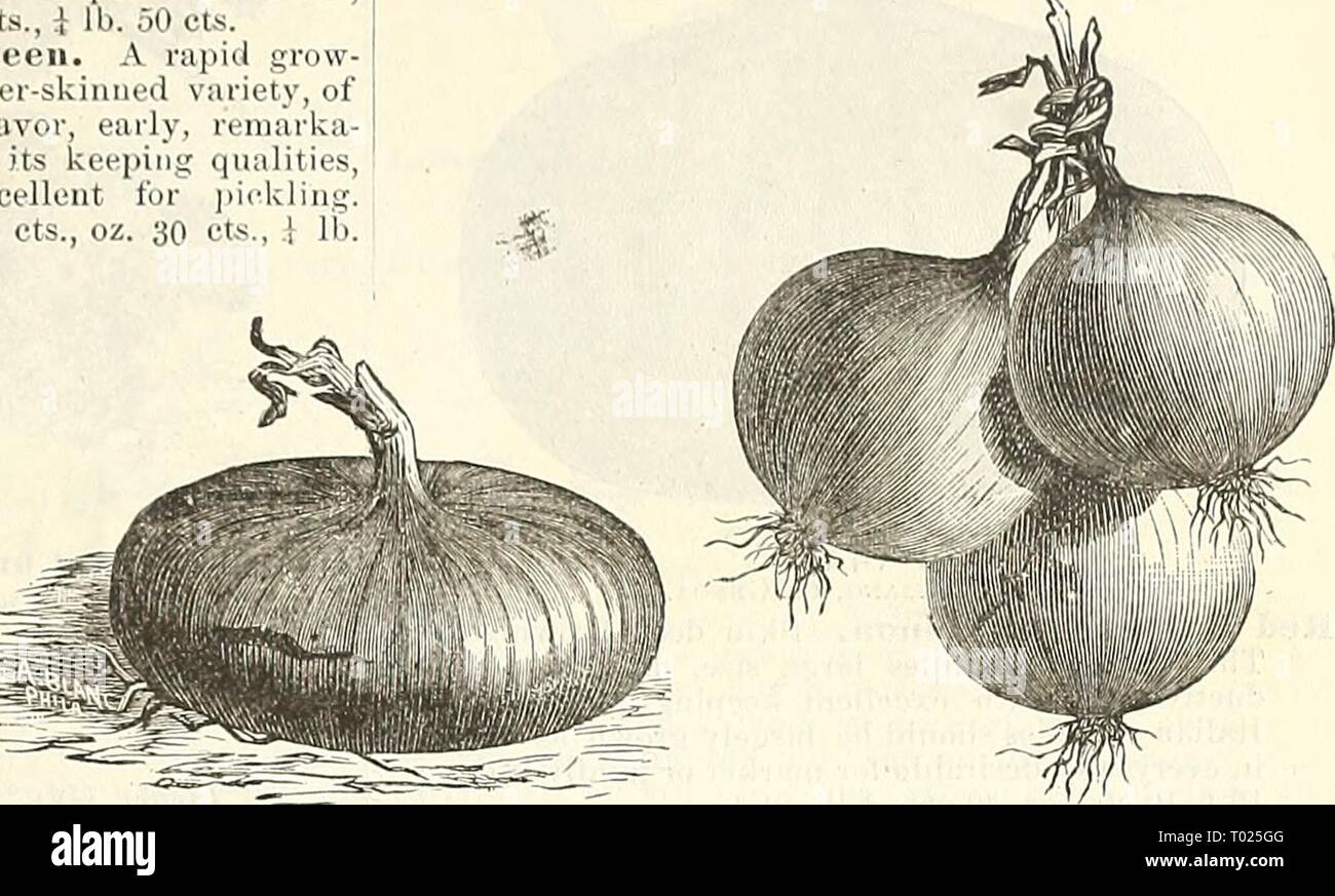 Dreer's garden calendar for 1888 Stock Photo - Alamy